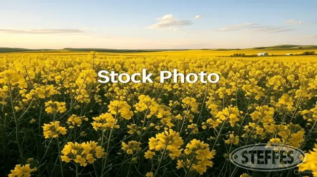 Steffes Group | Parcel 1