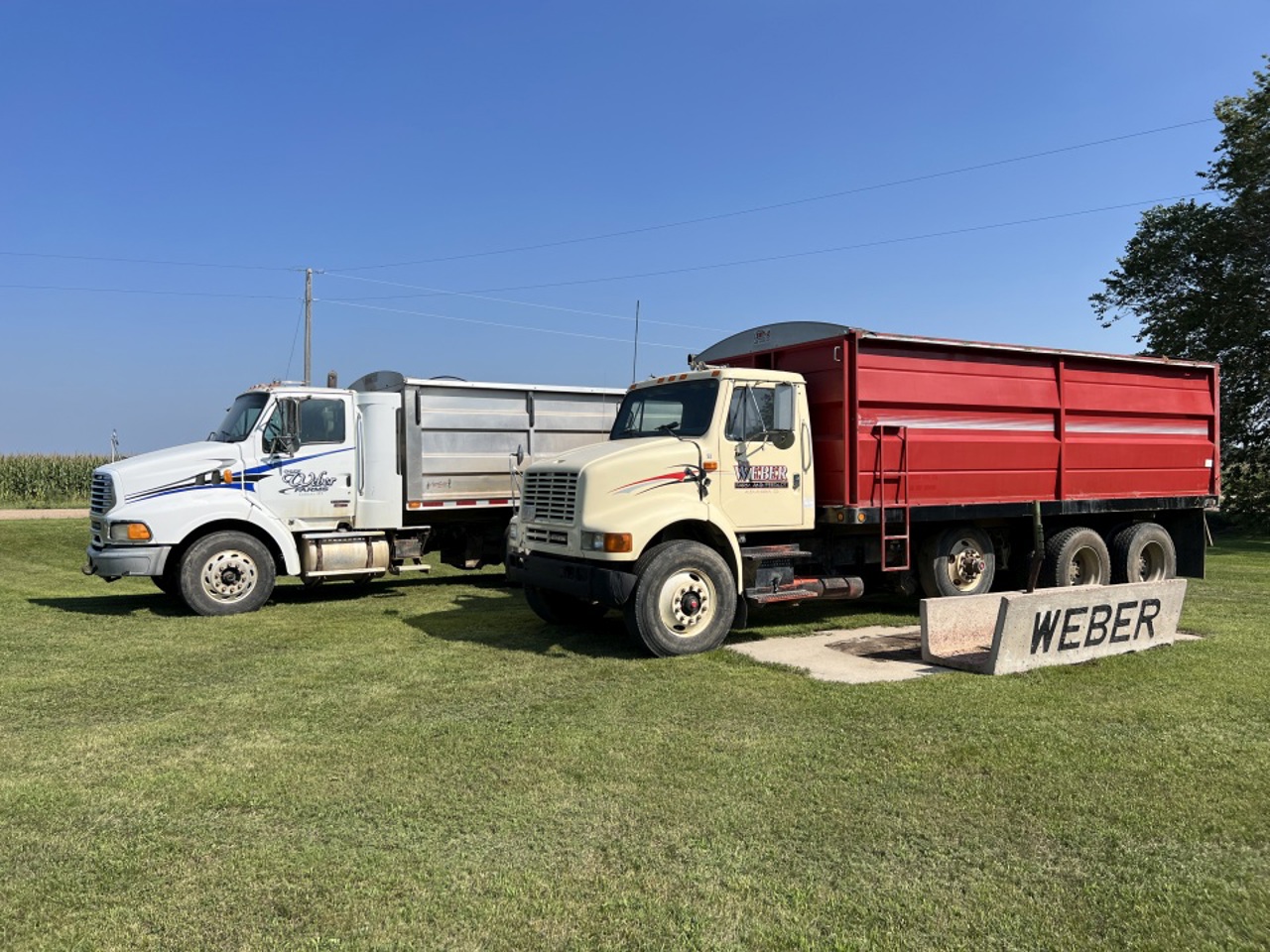 Steffes Group | Weber Farm & Feedlot Livestock Retirement Auction Lot ...