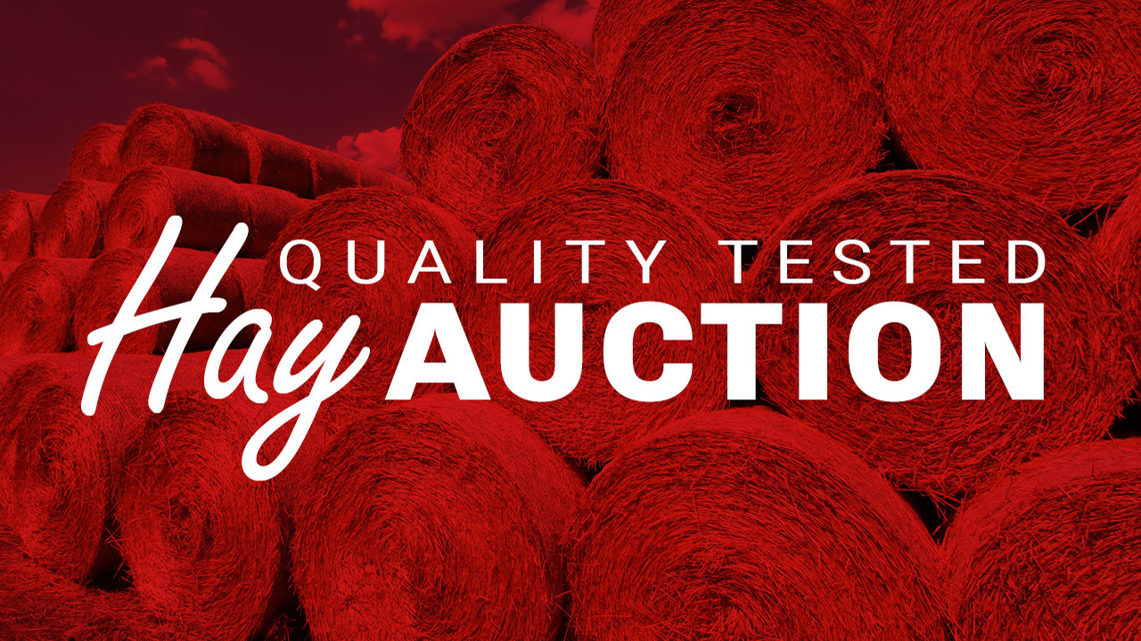 Steffes Group | Online Hay Auction 9/24 - Quality Tested