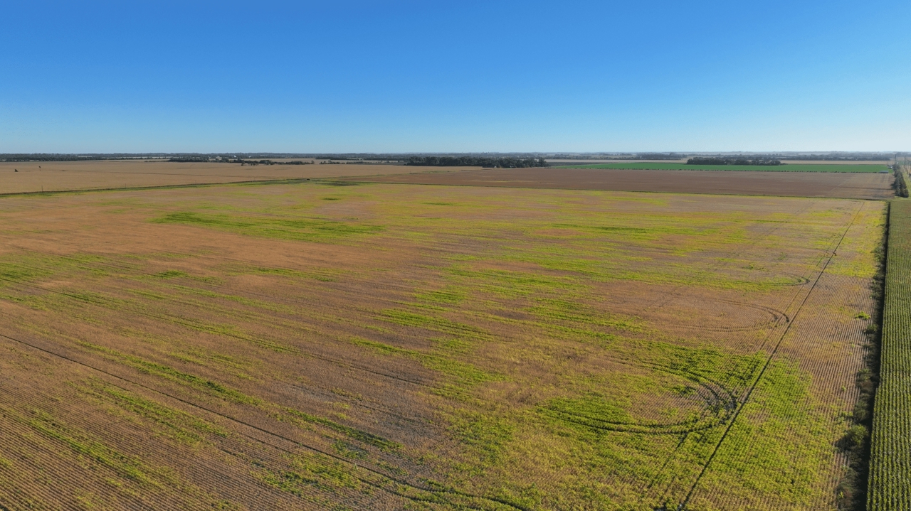 Steffes Group | Cass County, ND Land Auction - 160± Acres - SOLD!!