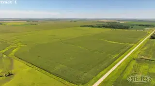 Steffes Group | Cass County, ND Land Auction - 587± Acres