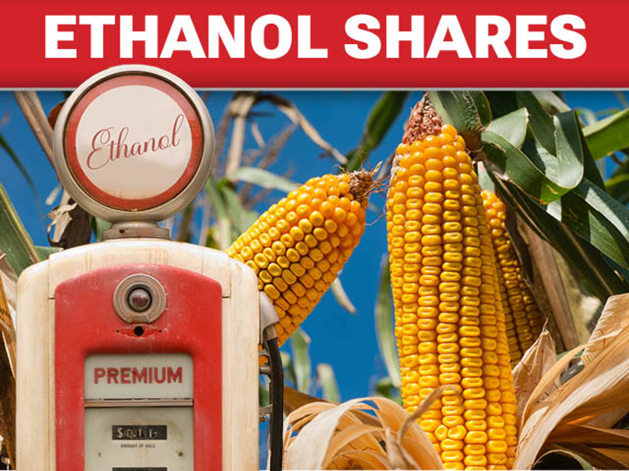 Steffes Group | Thomas Miller Estate Auction Terms and Conditions