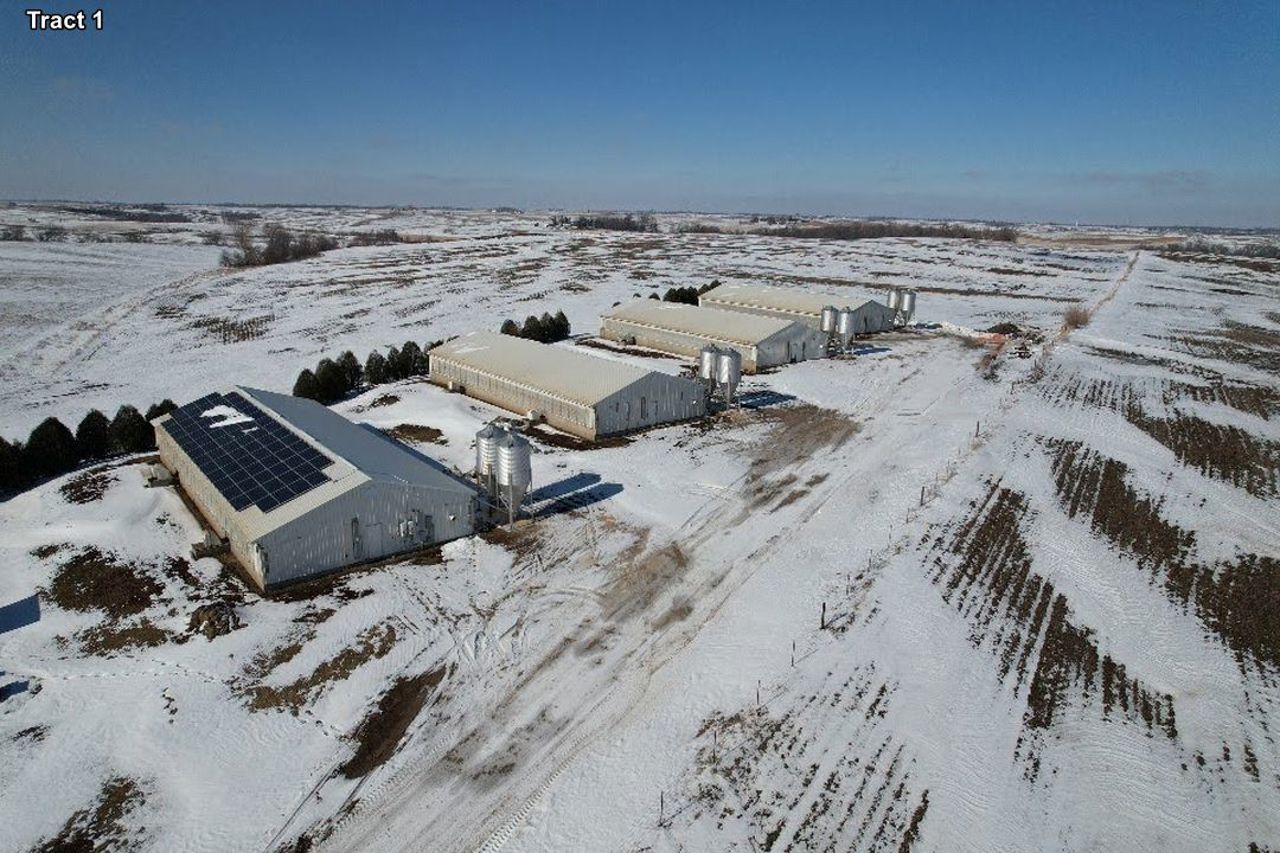 Steffes Group | Marshall County, IA Hog Facility Auction - 7± Acres, 1 ...