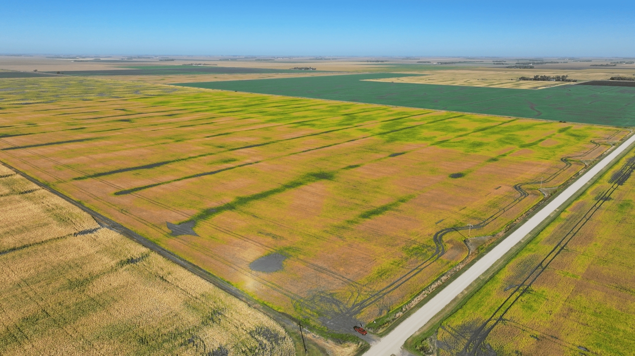 Steffes Group | Cass County, ND Land Auction - 235± Acres Lot Listings