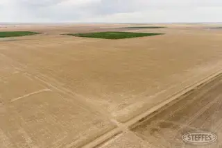 Steffes Group | Logan County, KS Land Auction - 160± Acres - SOLD!!