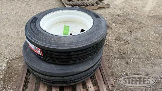 Steffes Group | (2) Truck tires