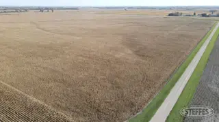 Steffes Group | Cass County, ND - Buffalo Township