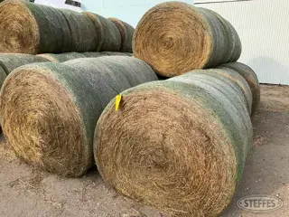 Steffes Group | (16 Bales) 4x5 round