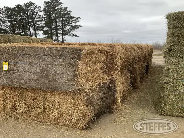 Steffes Group | (24 Bales) 3x3x8 squares
