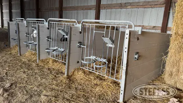 Steffes Group | Calf pens