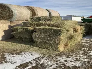 Steffes Group | (44 Bales) small squares